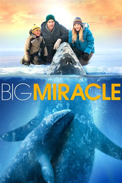 Miracle The Movie