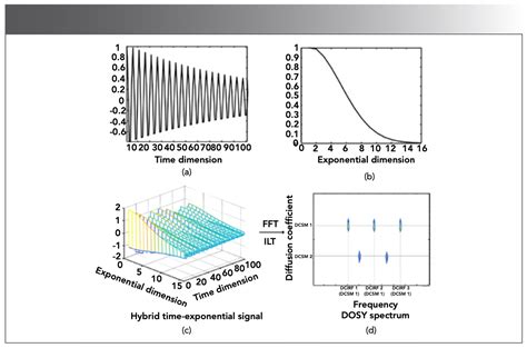 Review And Prospect Applications Of Exponential Signals With Machine