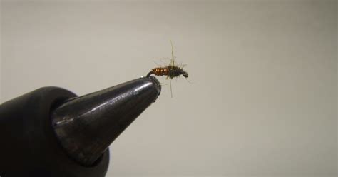 Rvrwader Fly Tying And Fly Fishing Itsy Bitsy Teenie Weenie Brassies