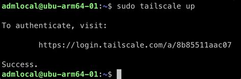 Setting Up Tailscale On Ubuntu LTS Focal Aarch Lots Of Emryl