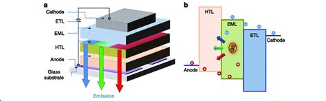 Schematic Depictions Of Oleds Structure And El Principle A Typical