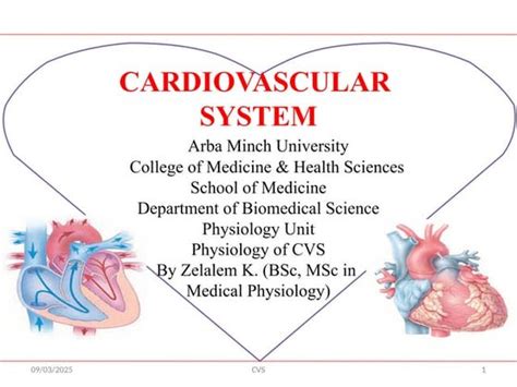 Differences Iddm Vs Niddm Pdf