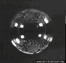 Bubble Burst Meme Captions Beautiful