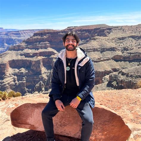 shahid momin cyber and strategic risk solution delivery analyst deloitte linkedin