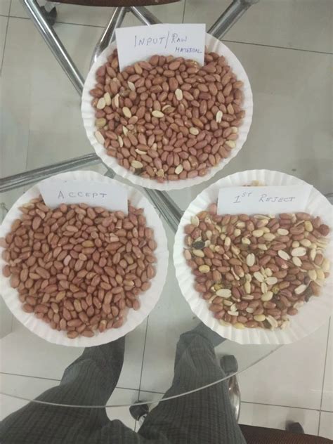 Automatic Powder Coated Peanut Sorting Machine Single Phase Capacity 3 Tonhour At Best Price Automatic Powder Coated Peanut Sorting Machine Single Phase Capacity 3 Tonhour At Best Price