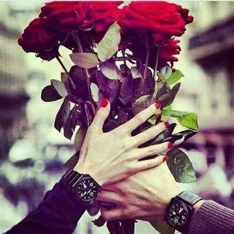 نجمة السماء شهد