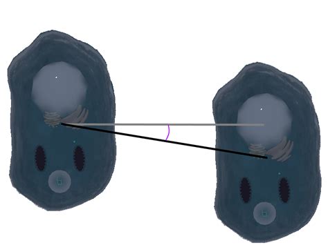 Proposal For Simulating Early Multicellular Organisms As Soft Bodies