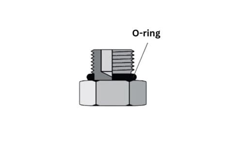 Sae Orb Vs Jic Fitting Key Differences You Should Know