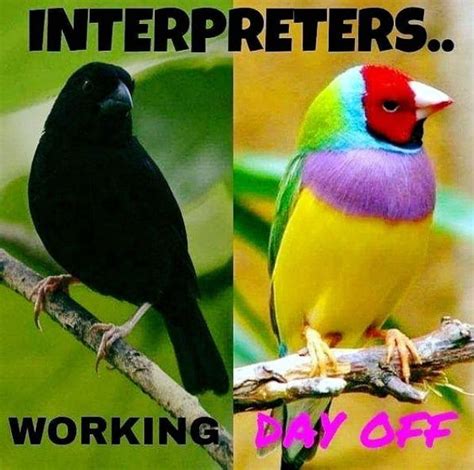 Sign Language Dilemmas What Does The Interpreter Wear Sign