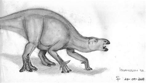 Iguanodon Sketch By Dinodrawer On Deviantart