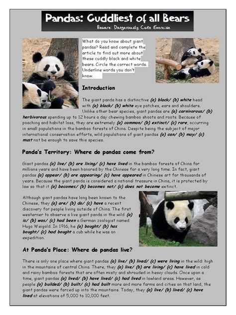 Reading 1 What Do You Know About Giant Pandas Fun Activities Games