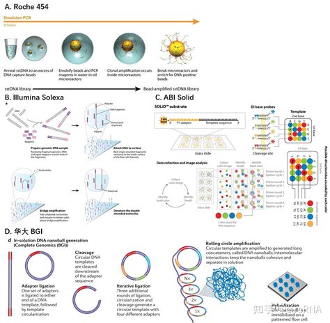 环状rna十周年 测序技术篇 知乎