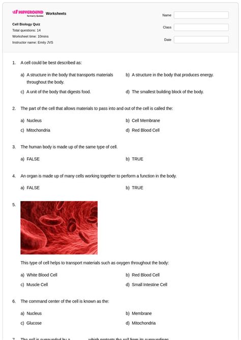 50 Cell Biology Worksheets For Grade 6 On Wayground Free And Printable
