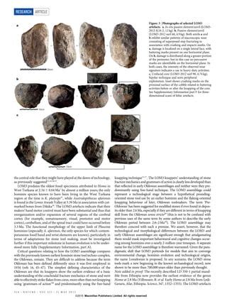 3 3 Million Year Old Stone Tools From Lomekwi 3 West Turkana Kenya Pdf