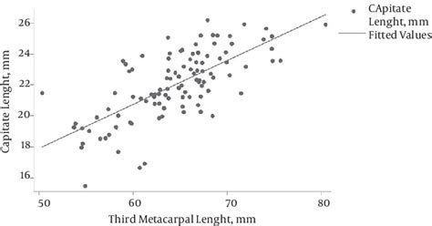 Linear Relationship Between The Third Metacarpal And The Capitate Download Scientific Diagram