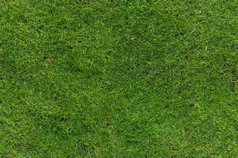 Green Grass Ground Texture Pattern Garden Floor Background 9232229