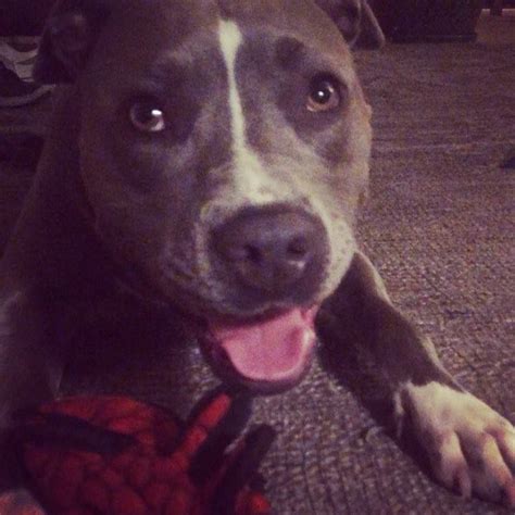 Libby Matthews Home Facebook