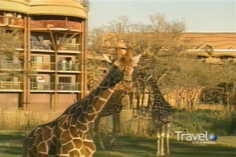 Samantha Brown Great Hotels Disney Resorts From The 2000s