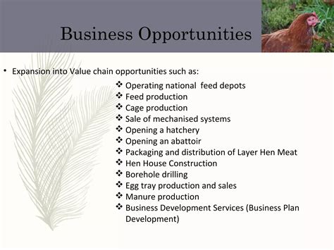 Poultry Value Chain Analysis In Lesotho Egg Production Ppt