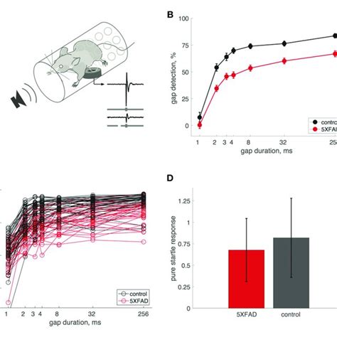 Brainstem Tegmental Lesions Of The Central Tegmental Tracts A Download Scientific Diagram