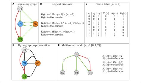 Illustration Of The Basics Of The Logical Formalism—model Definition Download Scientific