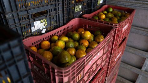 အမေရိကန်၏ အကောက်ခွန်တိုးမြှင့်မှုကြောင့် ဘရာဇီး၏ သစ်သီးတင်ပို့မှု တန