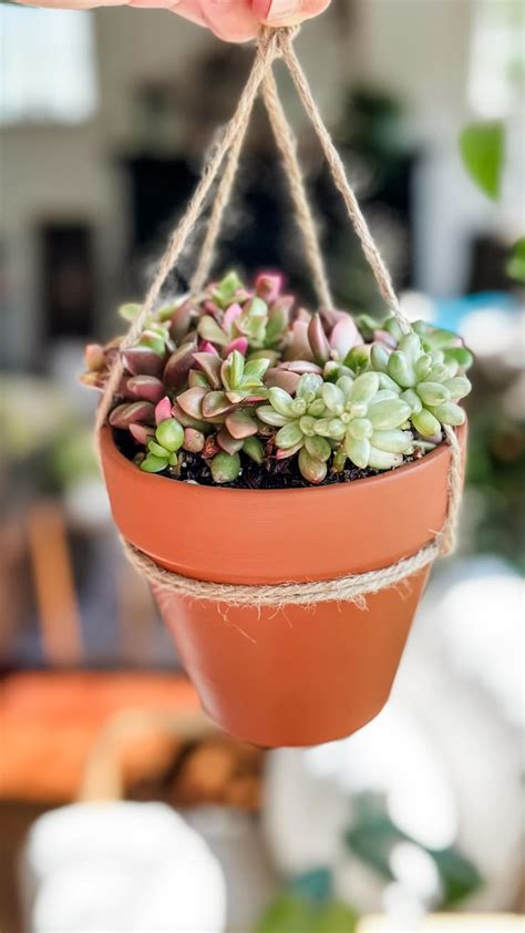 Lorri Zander On Instagram Heres A Quick And Easy Plant Hanger If You