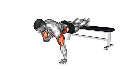 Decline Shoulder Tap Maniacmuscle