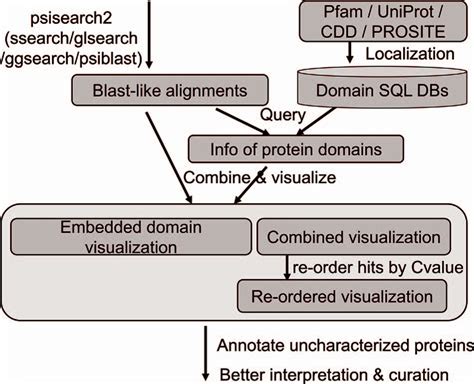 The Analysis Flow Chart Of Domain Annotation And Visualization In Download Scientific Diagram