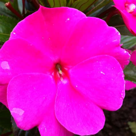 Vodenka Project Noah