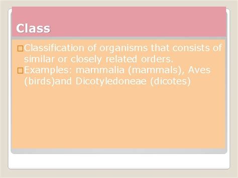Hierarchy Of Classification Of Organisms By Nur Diana