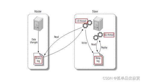 Mysql Mysql Csdn