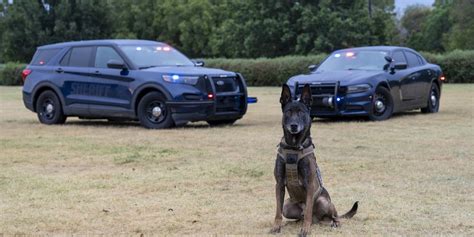 Retired Sheriffs Sergeant Gives Insight Into K 9 Handler Relationships