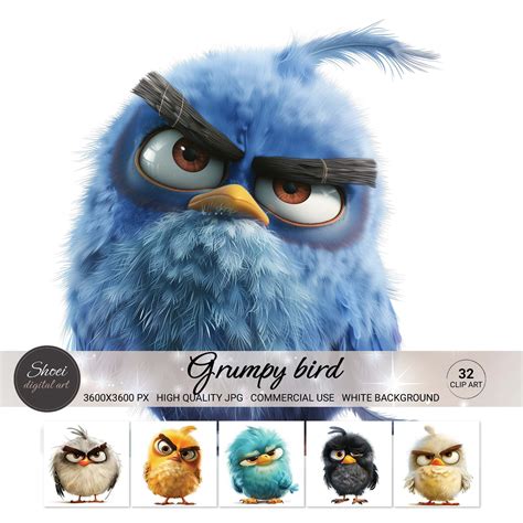 32 Grumpy Bird Watercolor Clipart  For Art And Craft Digital Paper