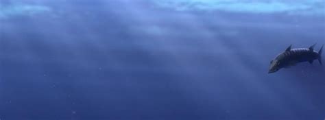 This Finding Nemo Scene R Thalassophobia