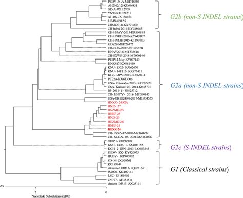 Genotyping Analysis Of 48 Pedv Strains Based On S Gene Sequences A