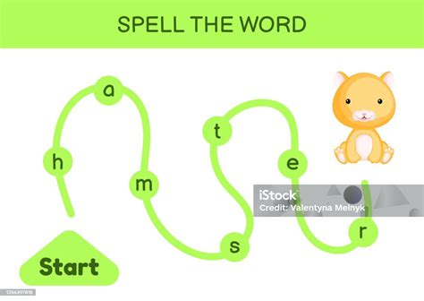아이들을위한 미로 맞춤법 단어 게임 템플릿 햄스터 인쇄 가능한 워크시트를 읽는 법을 배웁니다 영어 공부를 위한 액티비티 페이지 어린이 발달을 위한 교육 활동 벡터 그림입니다