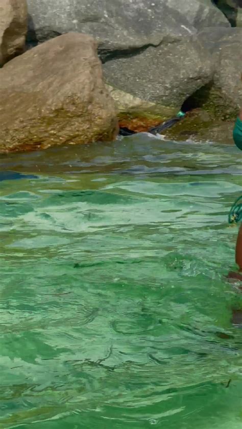 Keesee Andrea Todays Gonna Be A Good Day Claim It 💕