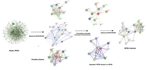 figure 1 from protein complex detection in ppi network by identifying