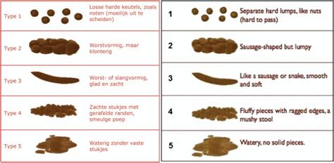 The Modified Bristol Stool Form Scale Wegh 2021 Journal Of