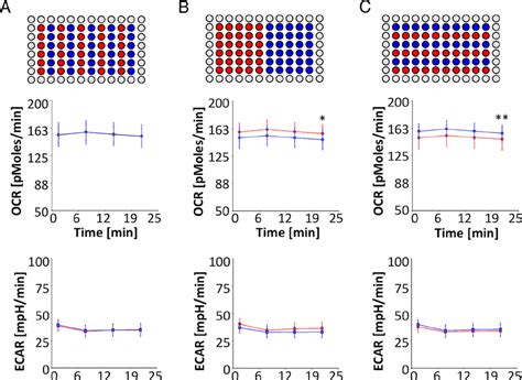 Intrinsic Variability Of OCR ECAR When Creating Two Experimental Download Scientific Diagram