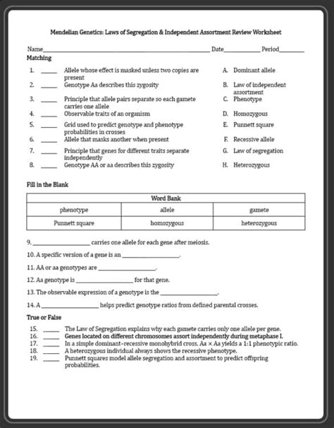 Mendelian Genetics Segregation And Assortment Review Worksheet Biology