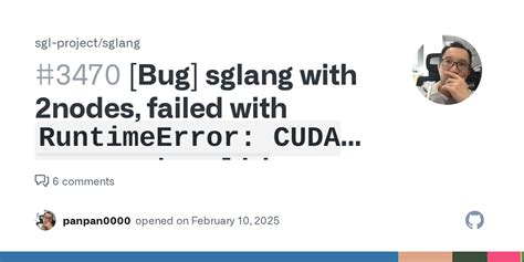 Bug Sglang With 2nodes Failed With `runtimeerror Cuda Error