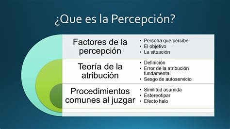 ¿qué Es La Percepción Youtube