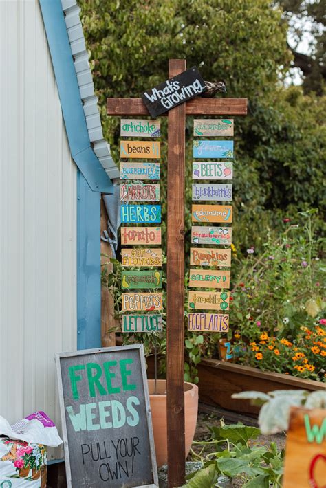 Heres How To Start A School Garden Sunset Magazine