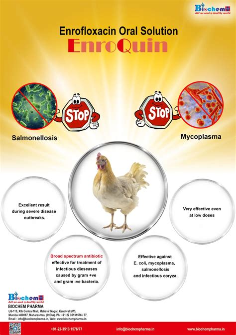 Biochem Pharma On Linkedin Biochempharma