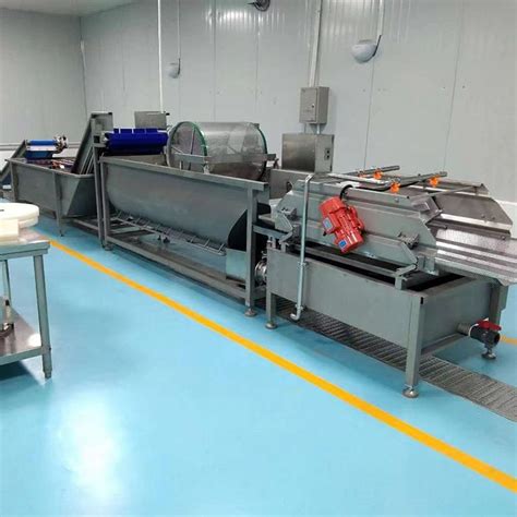 Efficient Fruit And Vegetable Washing And Drying Machine Line With Eddy