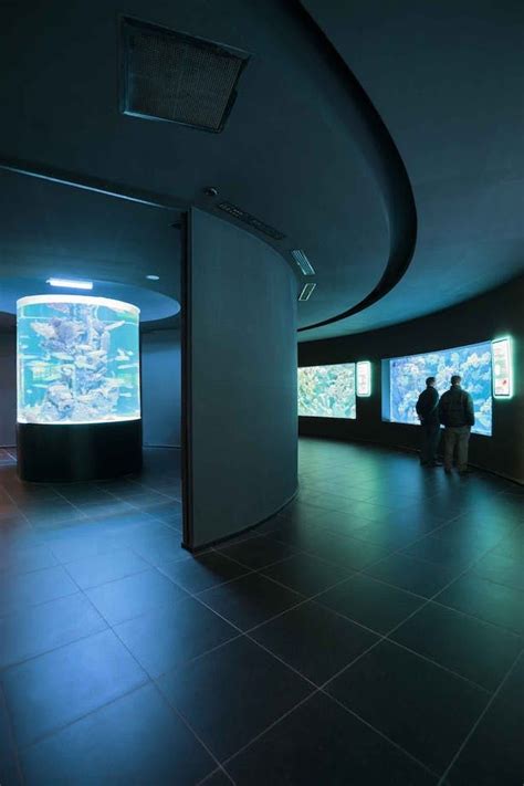 Antalya Aquarium Bahadır Kul Architects Archinect Aquarium Architecture Architecture