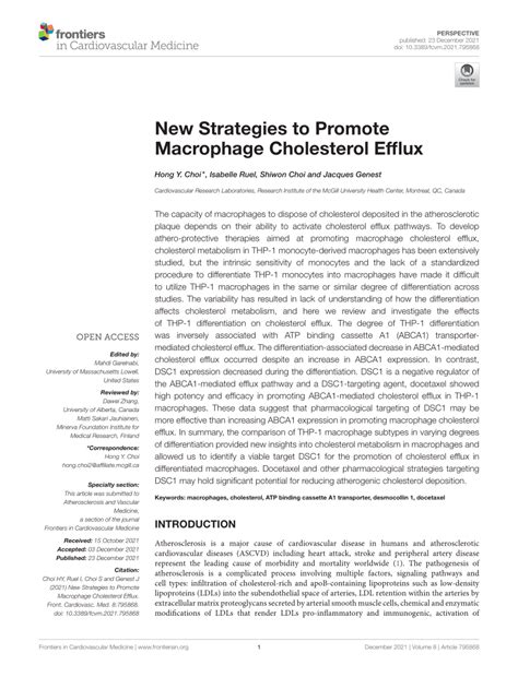 Pdf New Strategies To Promote Macrophage Cholesterol Efflux