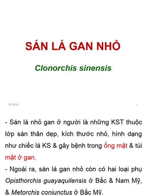 2 Sán Lá Gan Nhỏ Ok Pdf